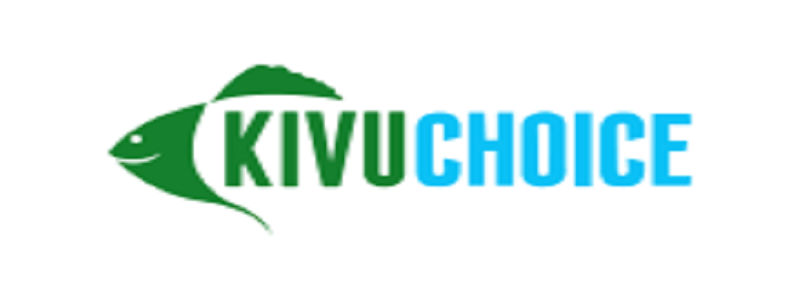 Talent Acquisition Lead at Kivu Choice Ltd: (Deadline 16 August 2024 ...