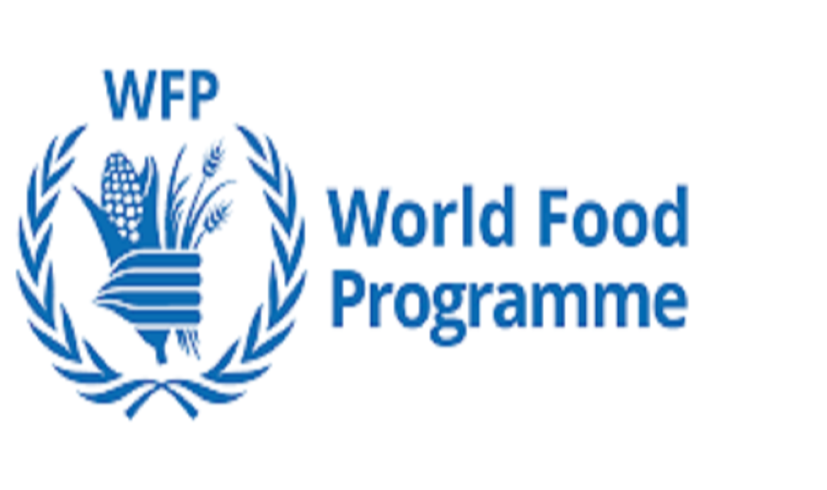 Internship- IT Operations, Kigali at World Food Programme (WFP ...