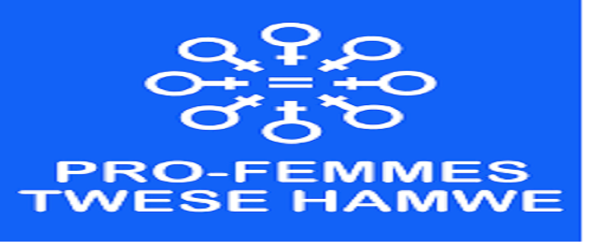 4 Job Positions at PRO-FEMMES/TWESE HAMWE (PFTH): (Deadline 20 January ...