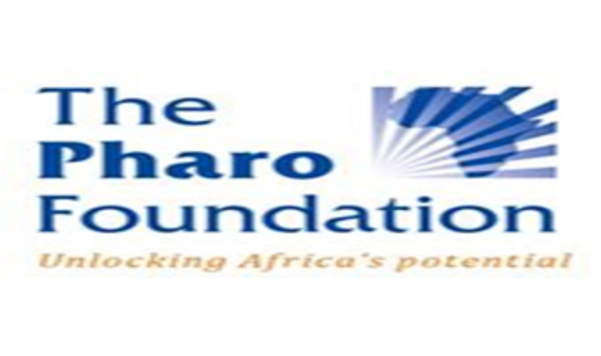 Project Coordinator-Teacher Capacity Building Project at Pharo ...