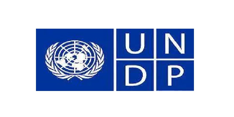 UNDP timbuktoo HealthTech Startup Accelerator Programme 2024 (up to ...
