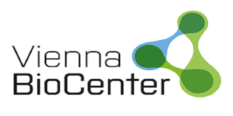 Vienna Biocenter Summer School for Undergraduate Students 2024 ...