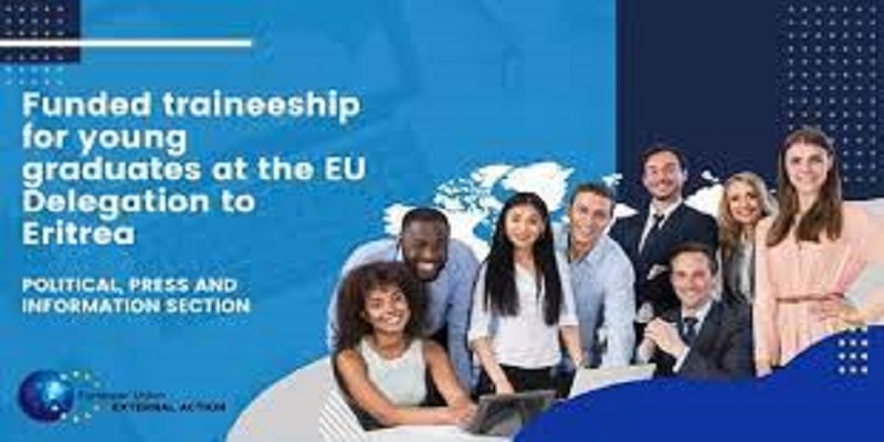 Apply for this Funded traineeship for young graduates at the EU ...